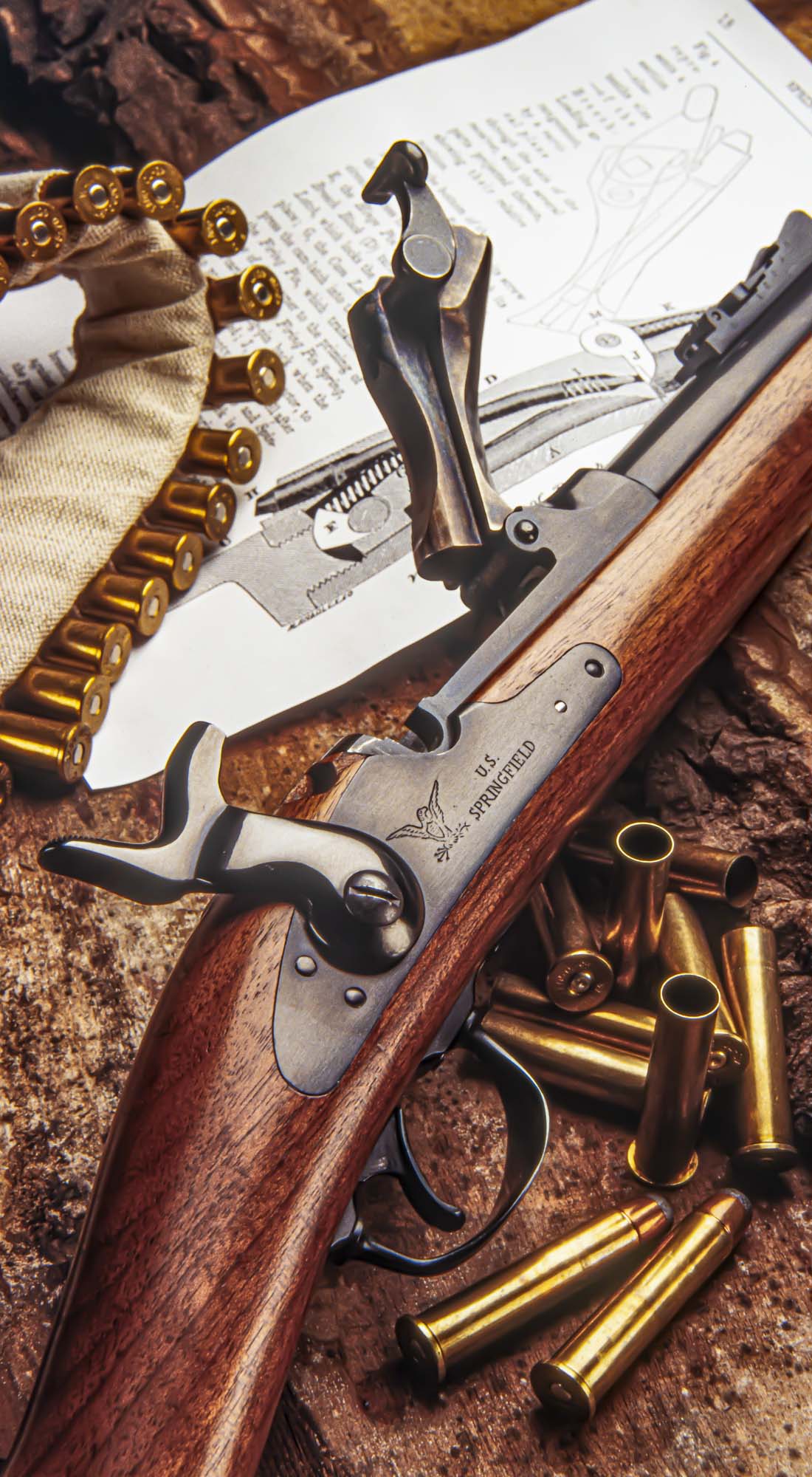 Springfield 1873 “Trapdoor” | GUNSweek.com